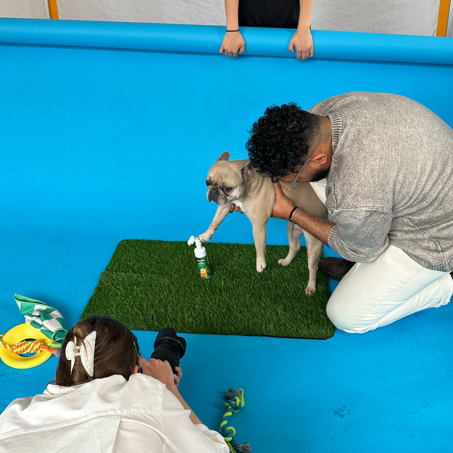 A Mission to Make Tails Wag