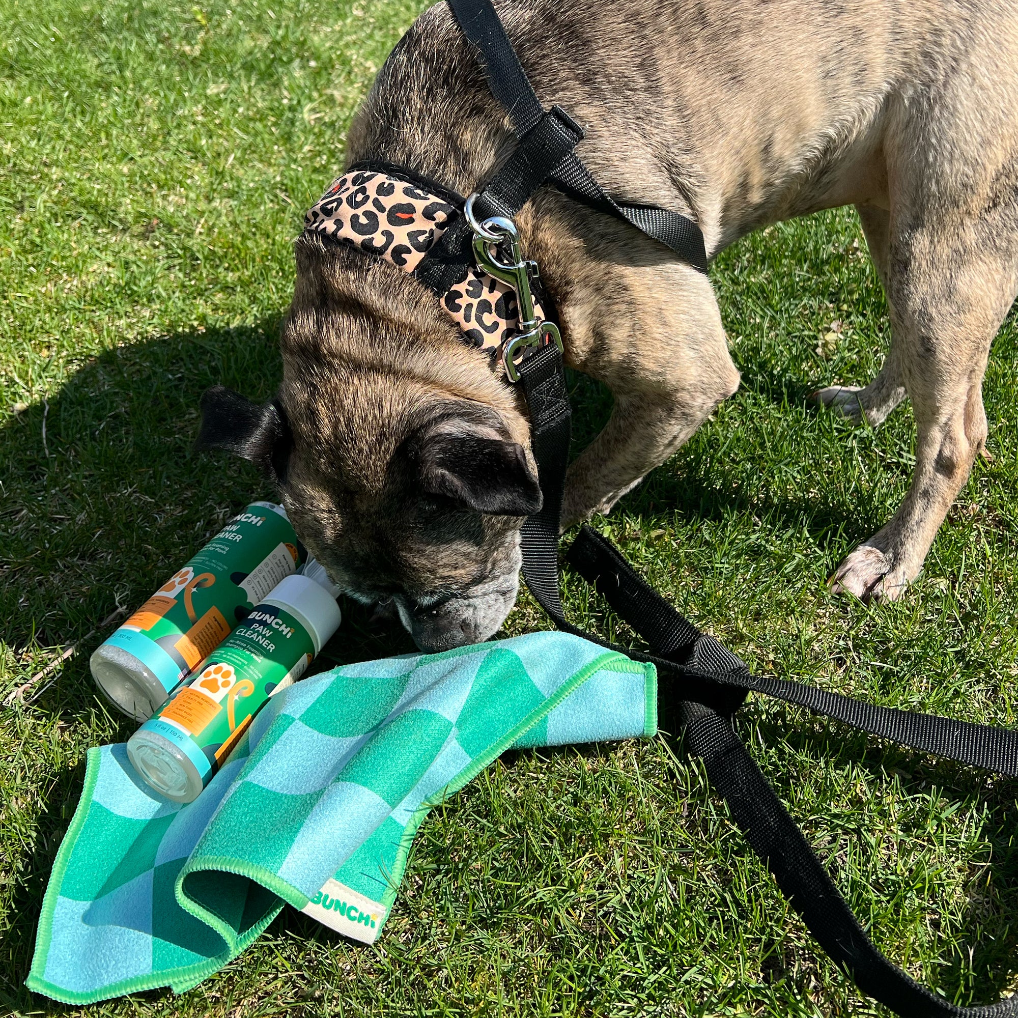 Paw Cleaner – Bunchi Pet